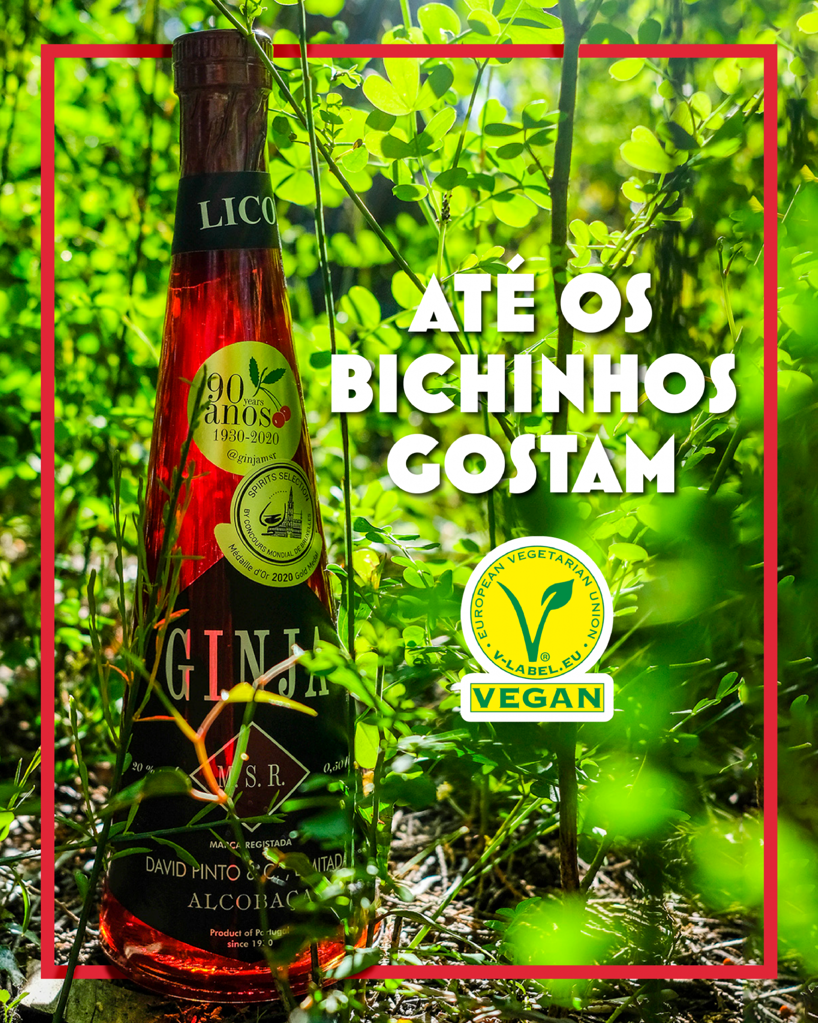Licor de Ginja MSR - Vegan - V-Label Portugal